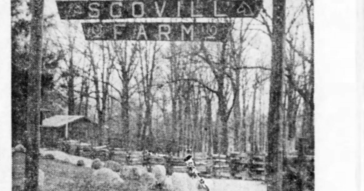 Local History - Parks | Decatur, IL Public Library